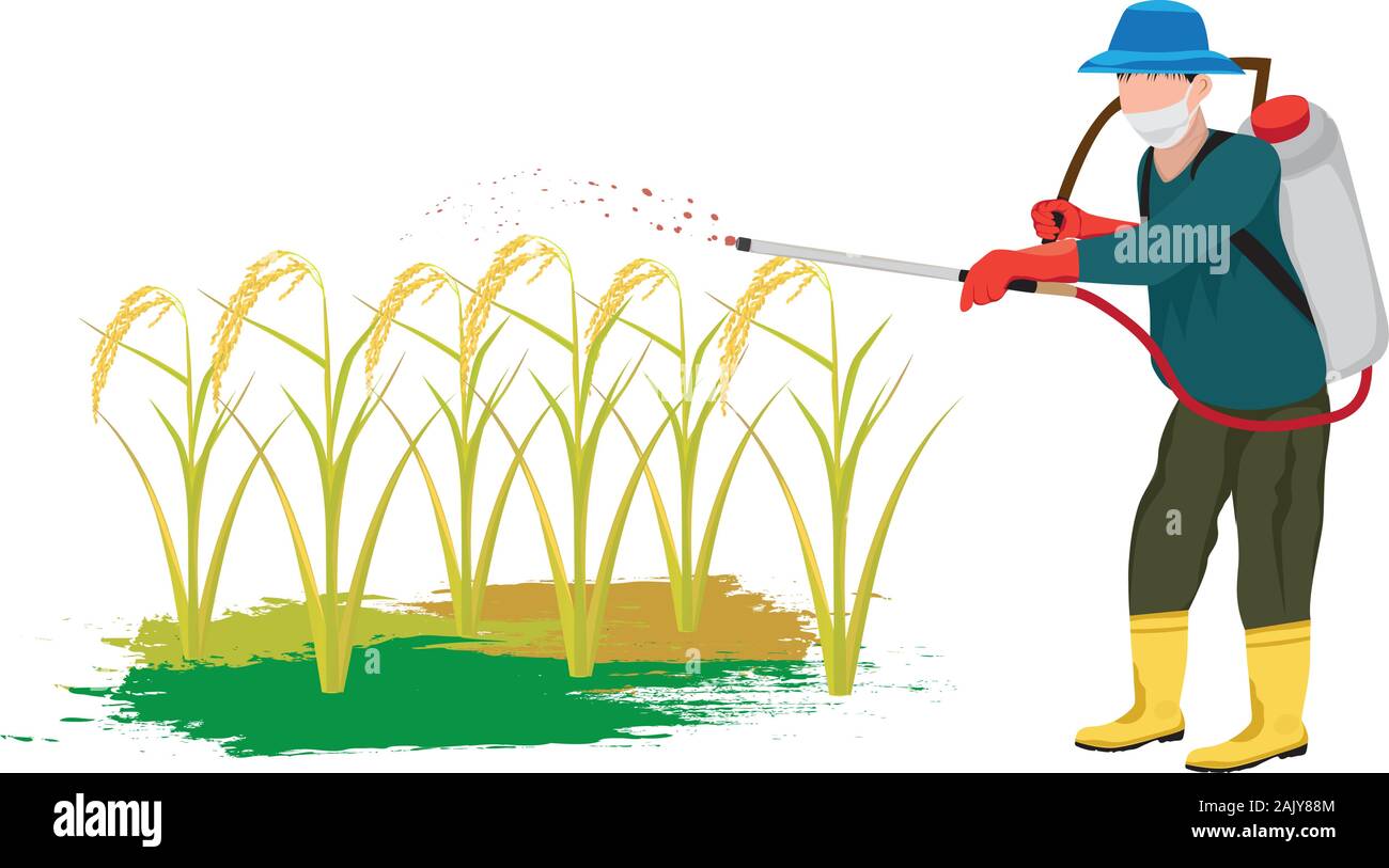 farmer manure into rice plant vector design Stock Vector Image & Art ...