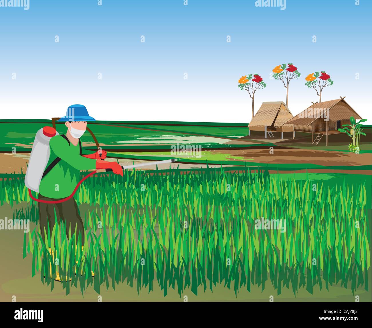 farmer manure into rice plant vector design Stock Vector Image & Art ...