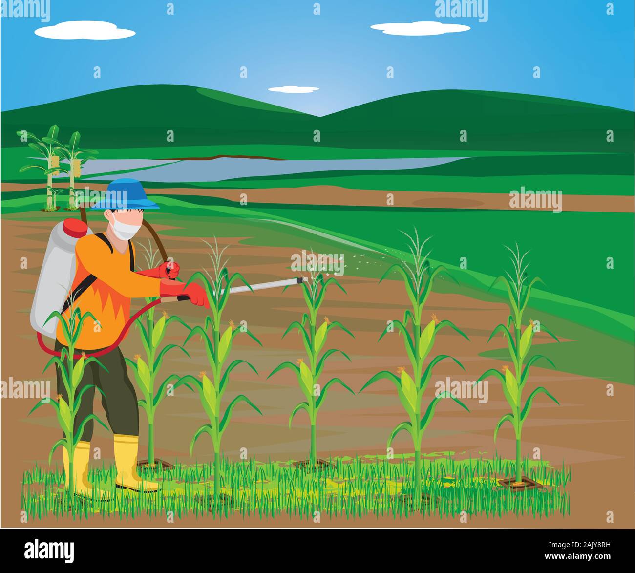 agriculturist spray manure into corn plant vector design Stock Vector ...