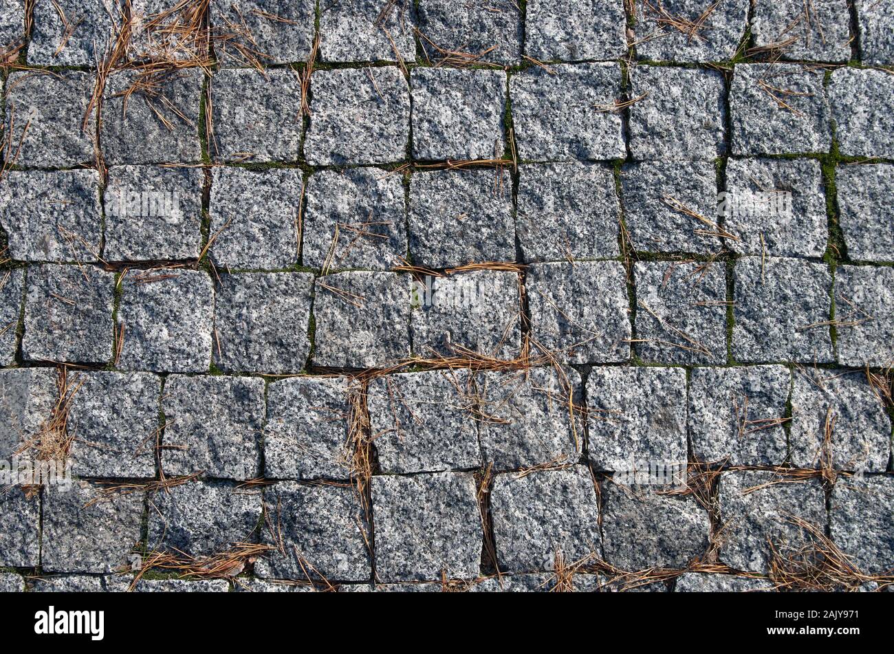 Granite blocks pavement in grid layout with moss growing between joints ...