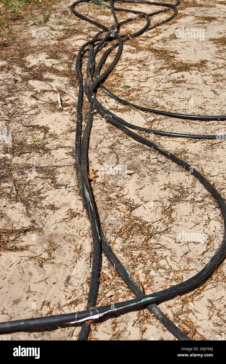 Stolen cable on ground in a forest. Stripped of metal wires. Only ...