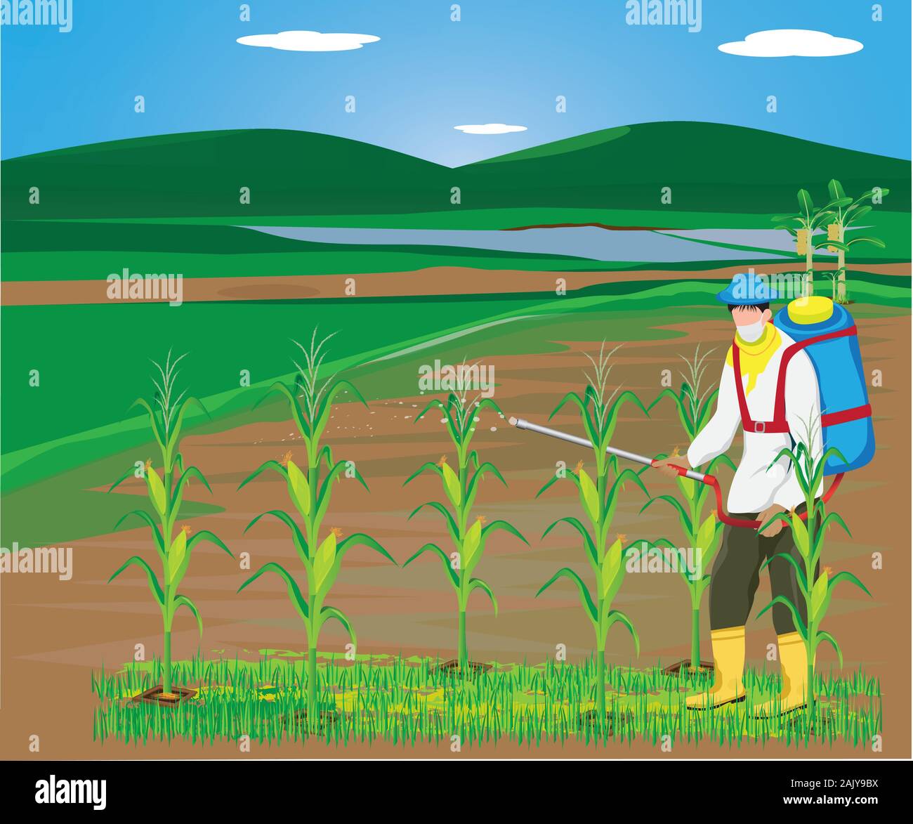 agriculturist spray manure into corn plant vector design Stock Vector ...
