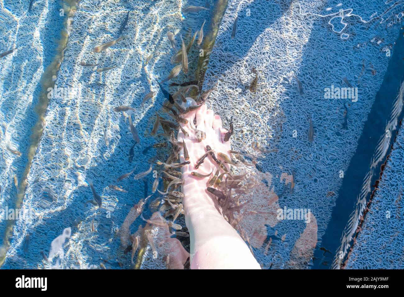 Female caucasian leg and feet in the water in thermal Lake Vouliagmeni ...