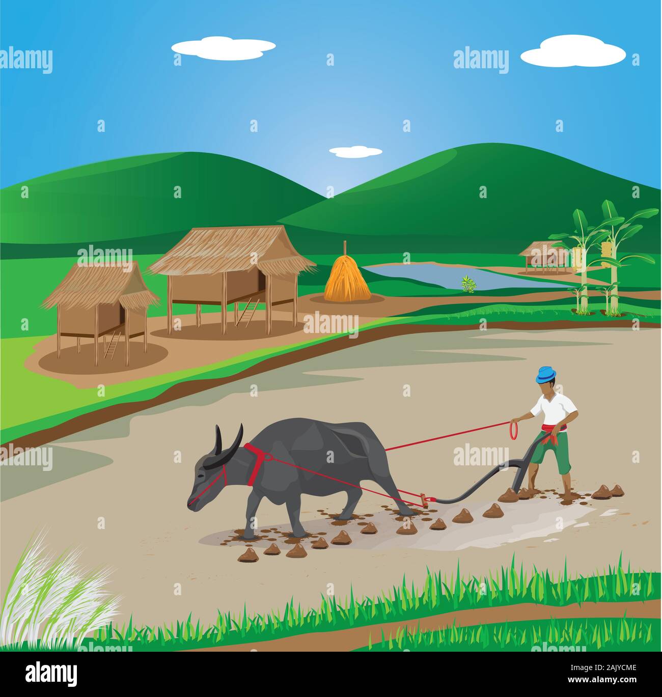 farmer plow in paddy field vector design Stock Vector Image & Art - Alamy