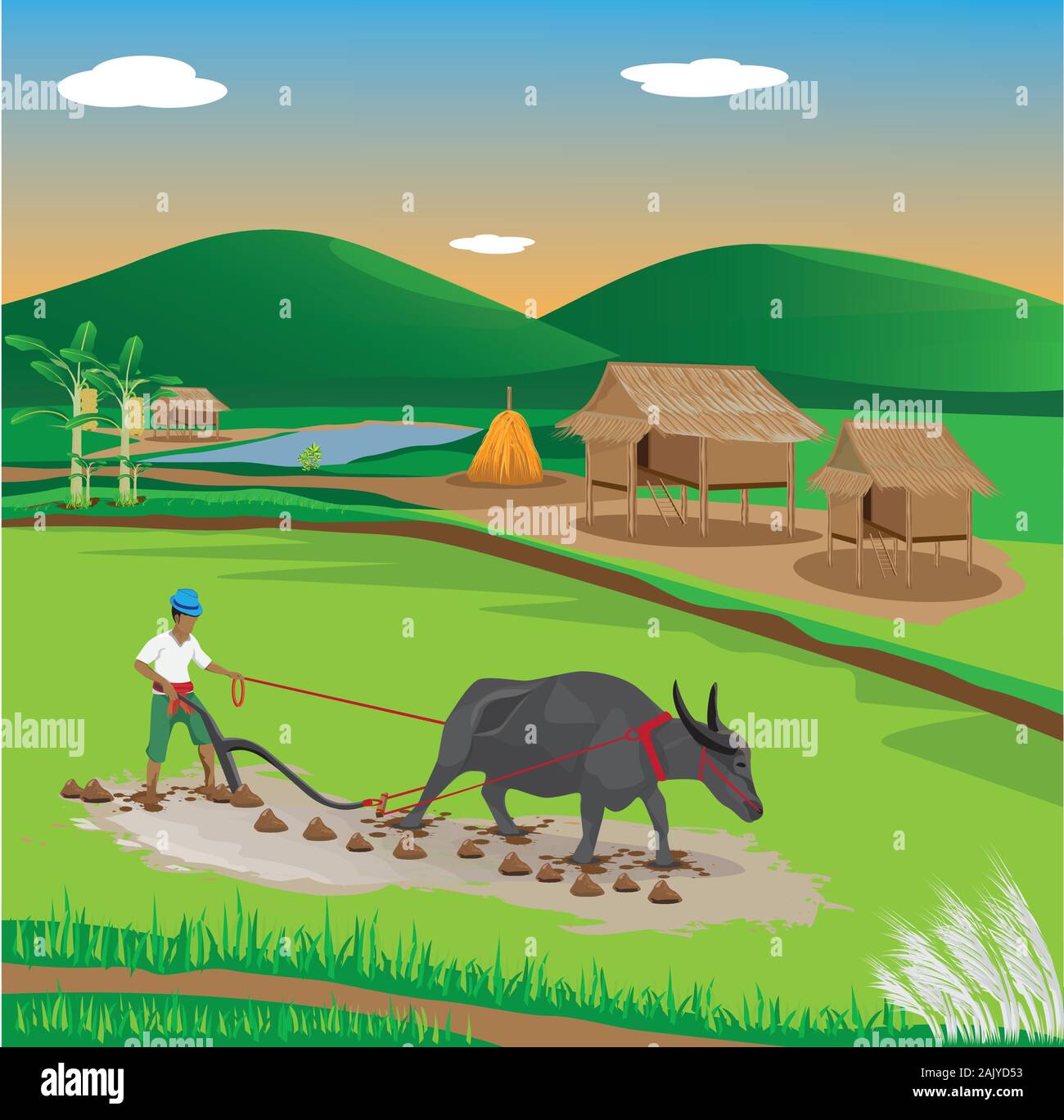 farmer plow in paddy field vector design Stock Vector Image & Art - Alamy