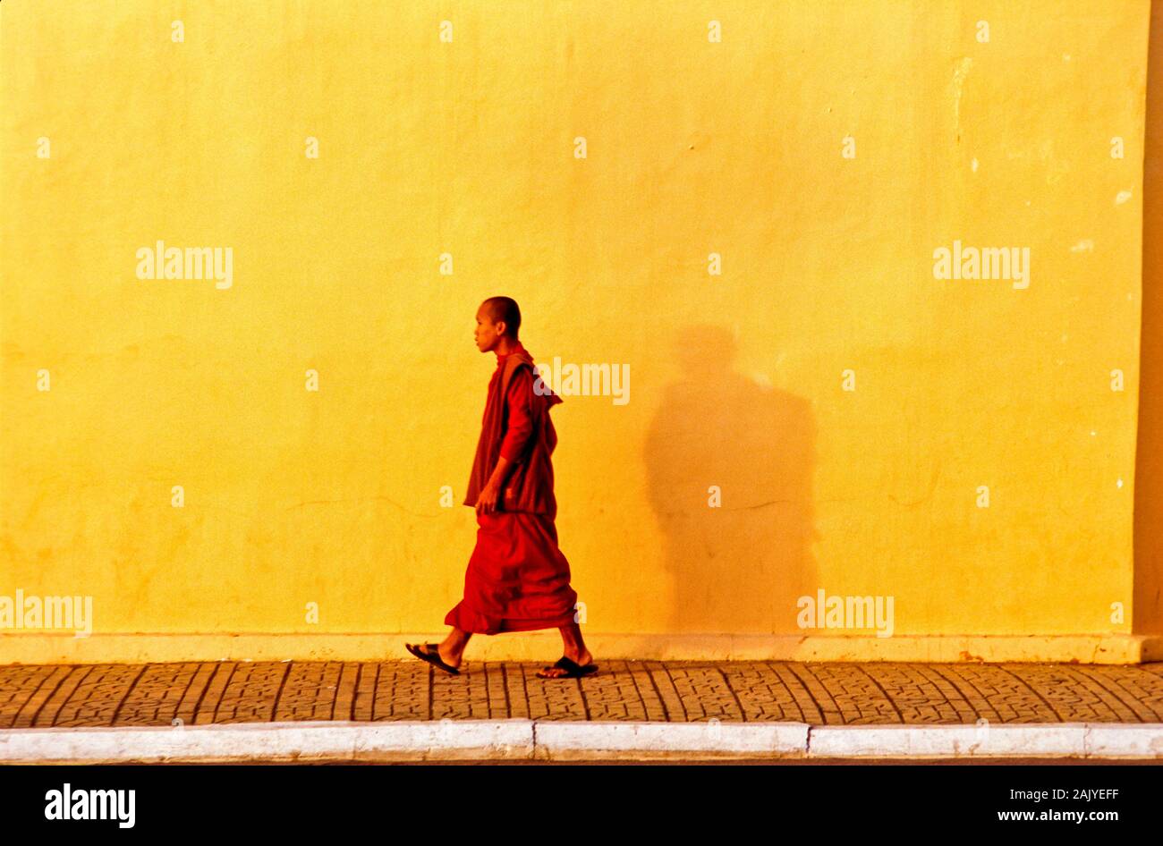 Yellow monk hi-res stock photography and images - Alamy