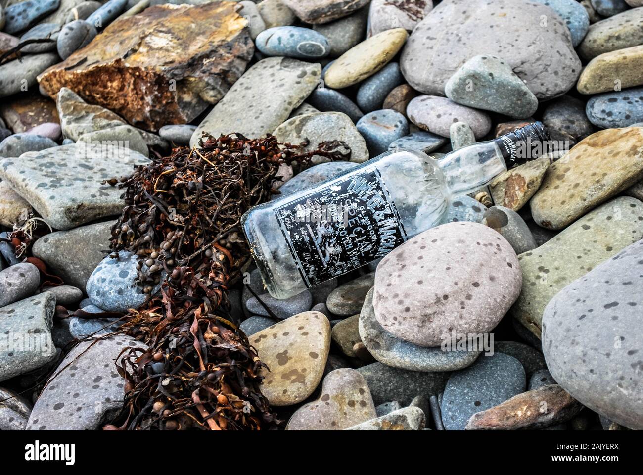 English seaweed hi-res stock photography and images - Alamy