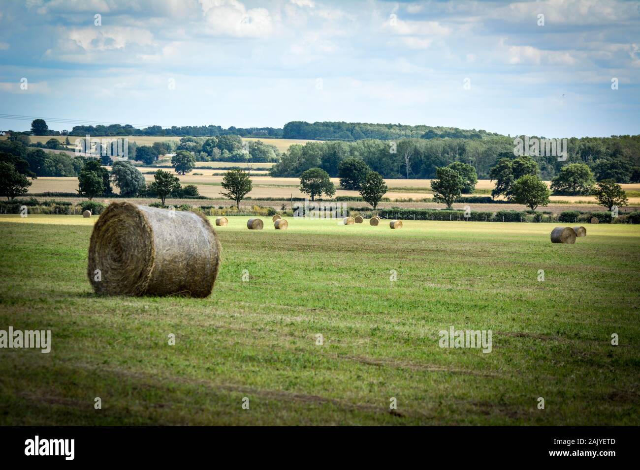 Orienteering uk hi-res stock photography and images - Alamy