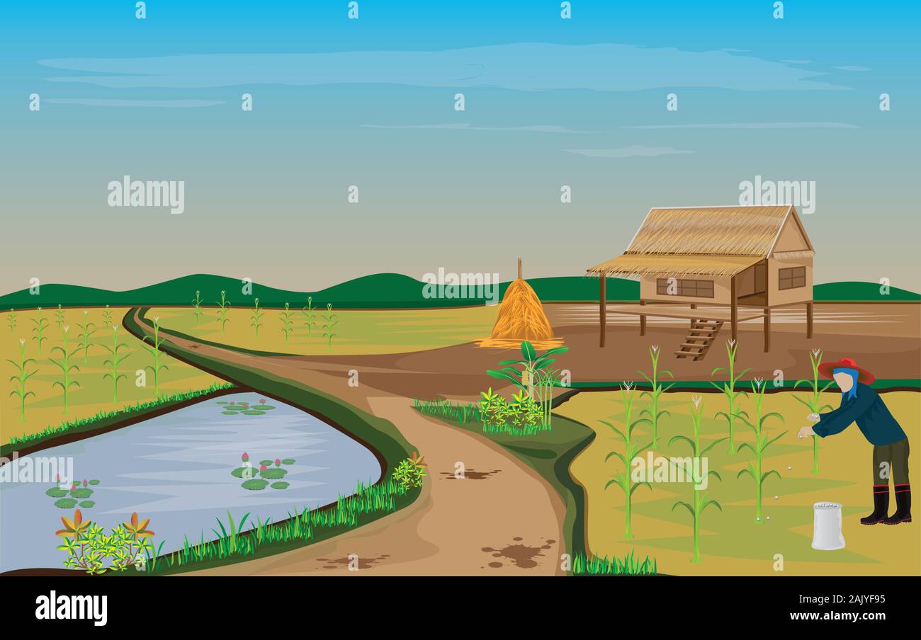 agriculturist manure in corn plant vector design Stock Vector Image ...