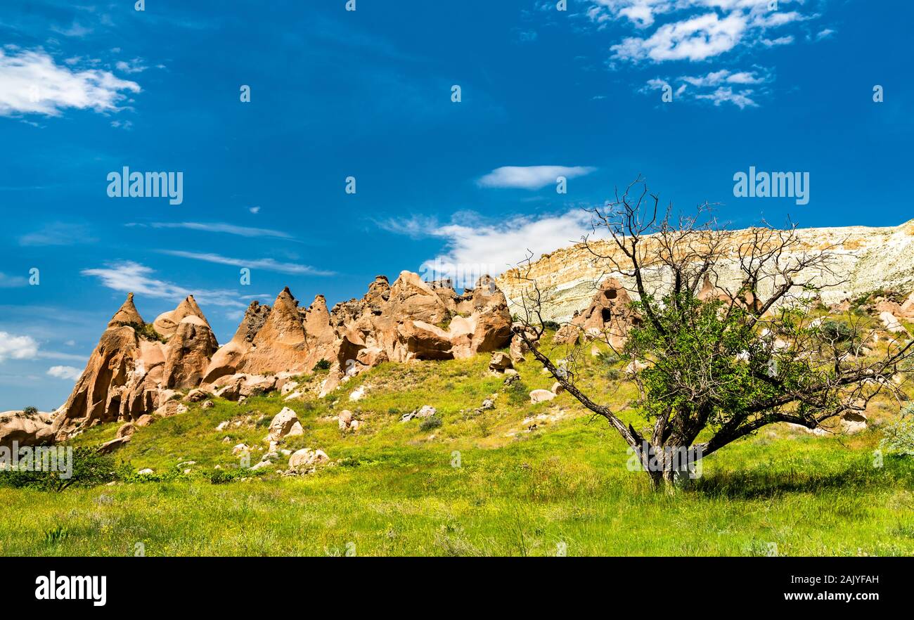 Remains of Zelve Monastery in Cappadocia, Turkey Stock Photo - Alamy