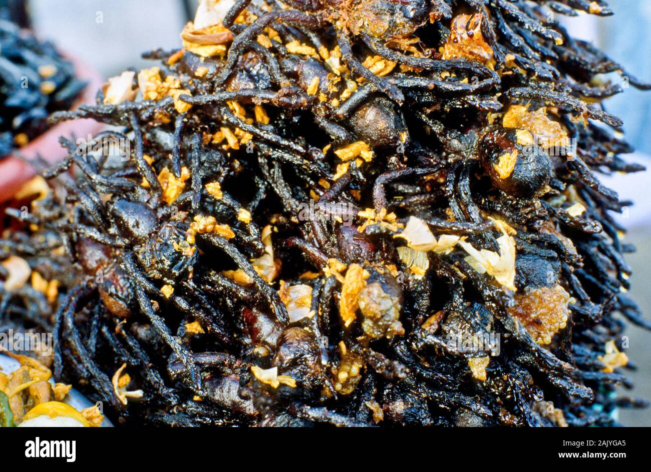 Fried spiders hi-res stock photography and images - Alamy