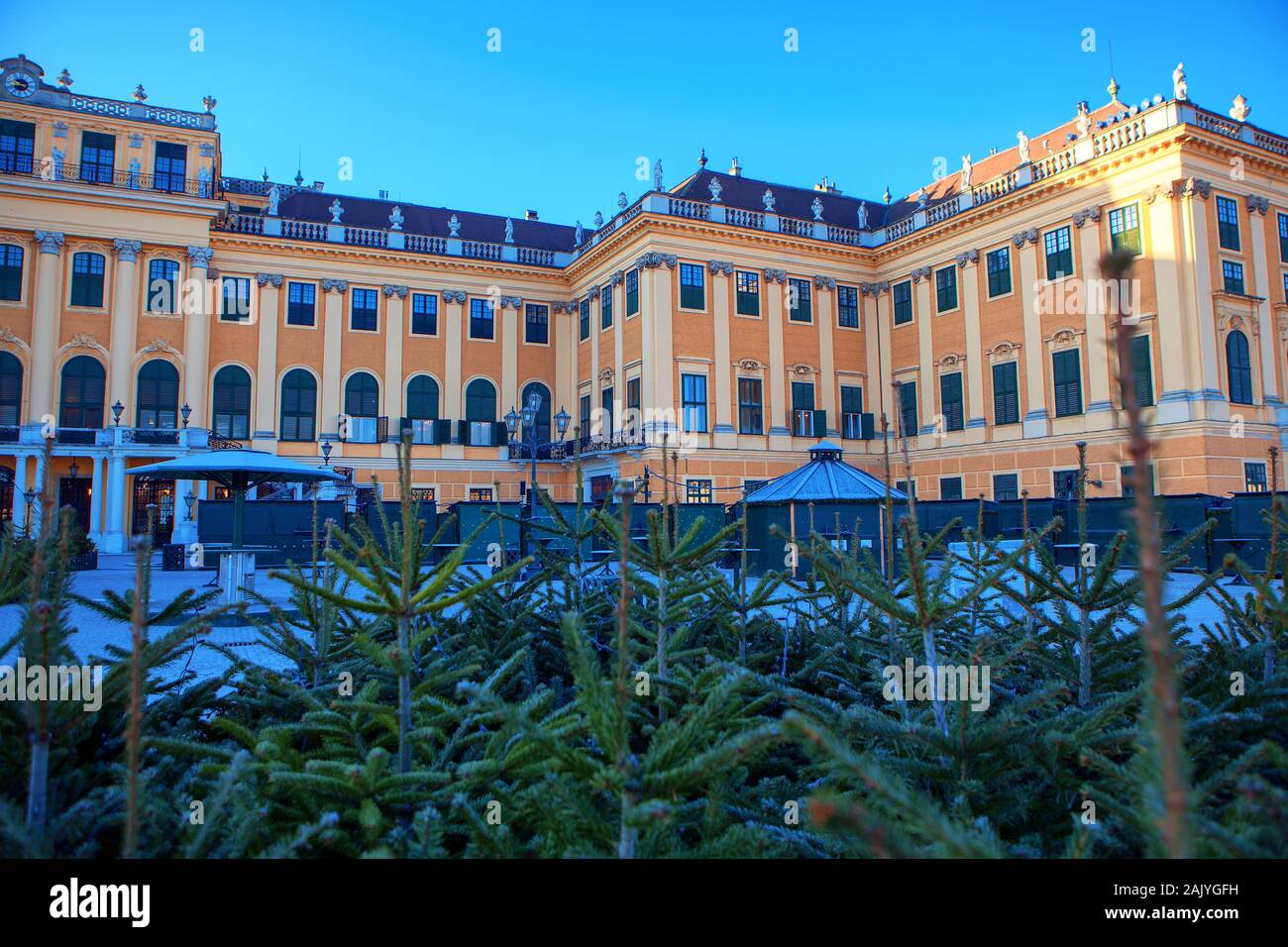 fir trees in front of Schonbrunn castle in Vienna Stock Photo - Alamy