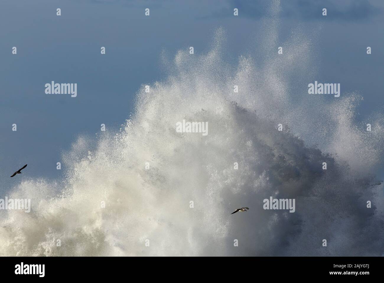 Big ocean stormy wave splash closeup Stock Photo - Alamy