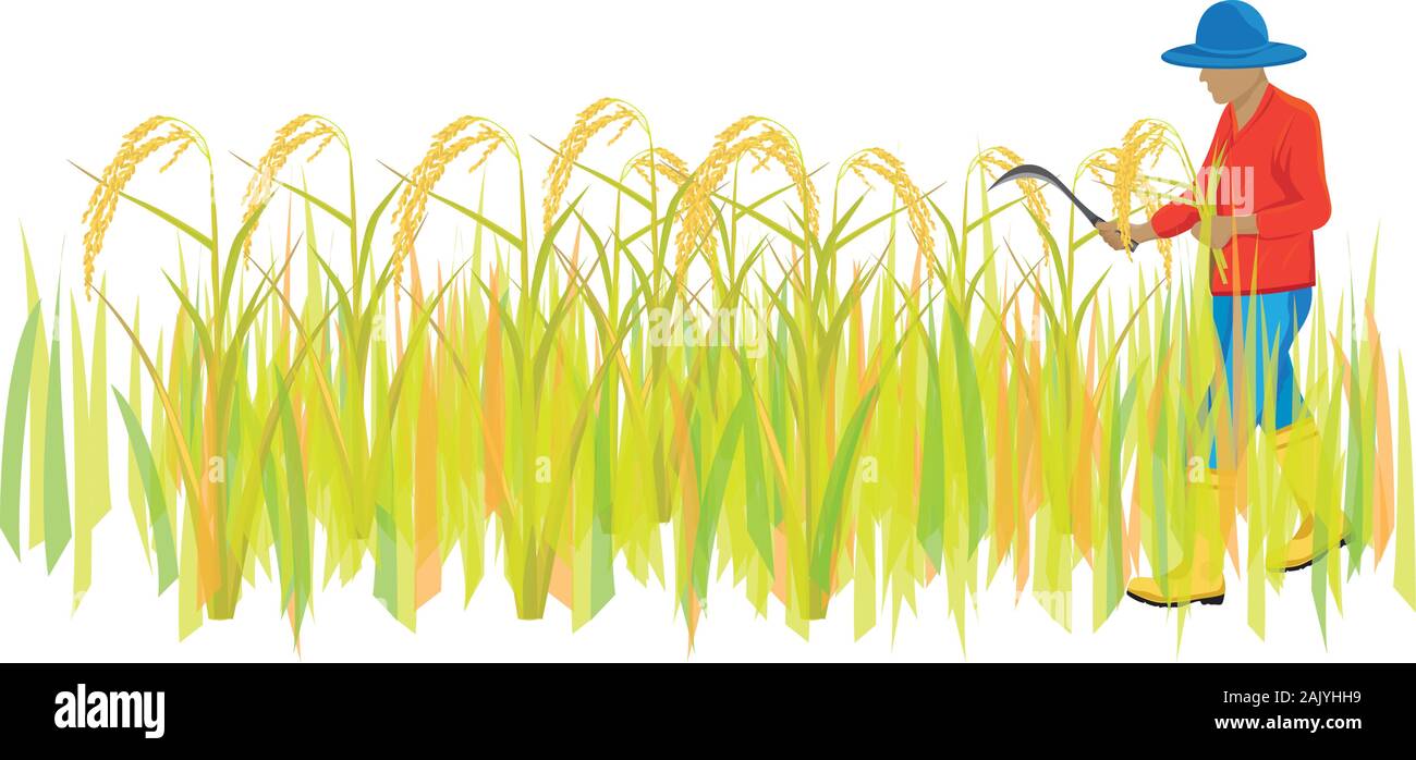 Rice Farmer Clipart