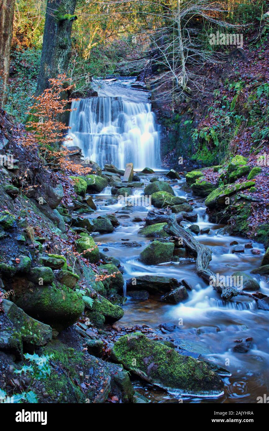 Tiger's Clough waterfall, in portrait format, viewed from the bank of ...