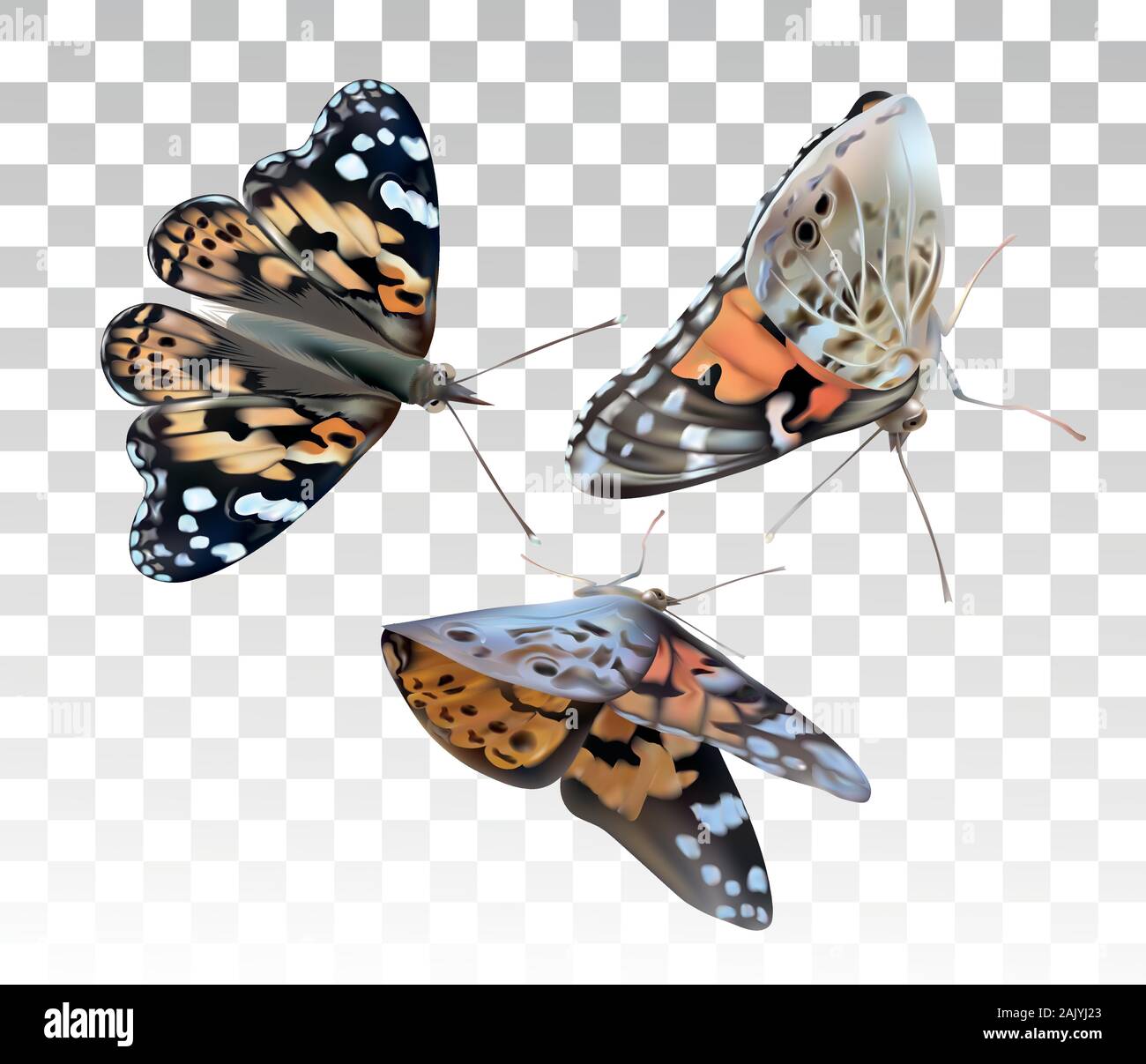 Flying colorful butterfly on transparentr background. Icon set. Vector ...