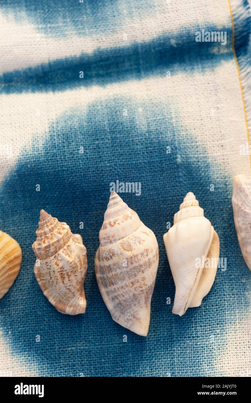 Natural object still life photography Stock Photo - Alamy