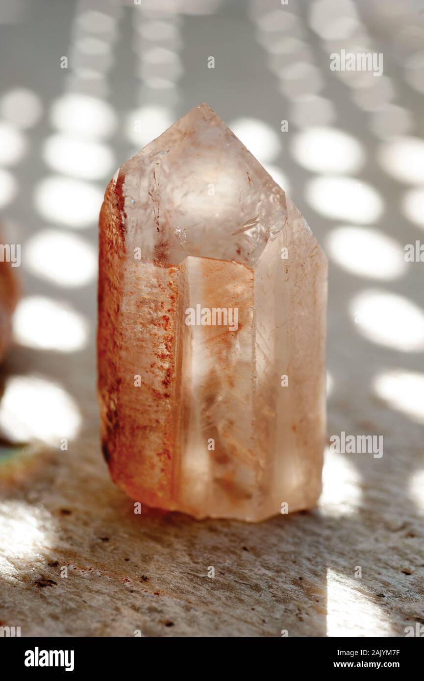 Natural object still life photography Stock Photo - Alamy