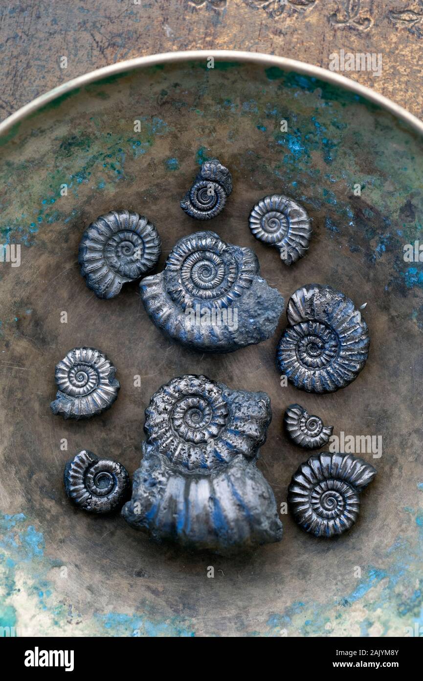 Natural object still life photography Stock Photo - Alamy