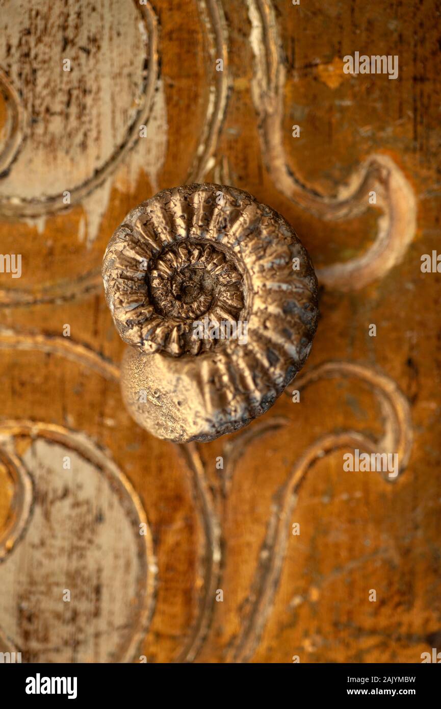 Natural object still life photography Stock Photo - Alamy