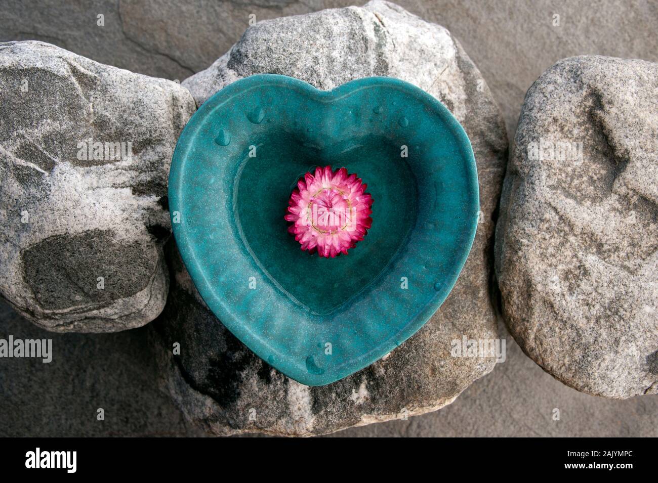 Natural object still life photography Stock Photo - Alamy