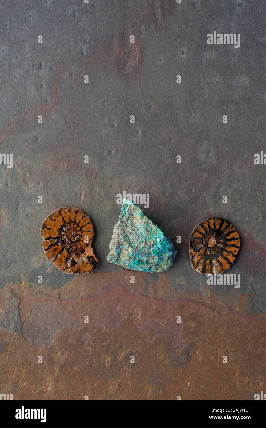 Natural object still life photography Stock Photo - Alamy