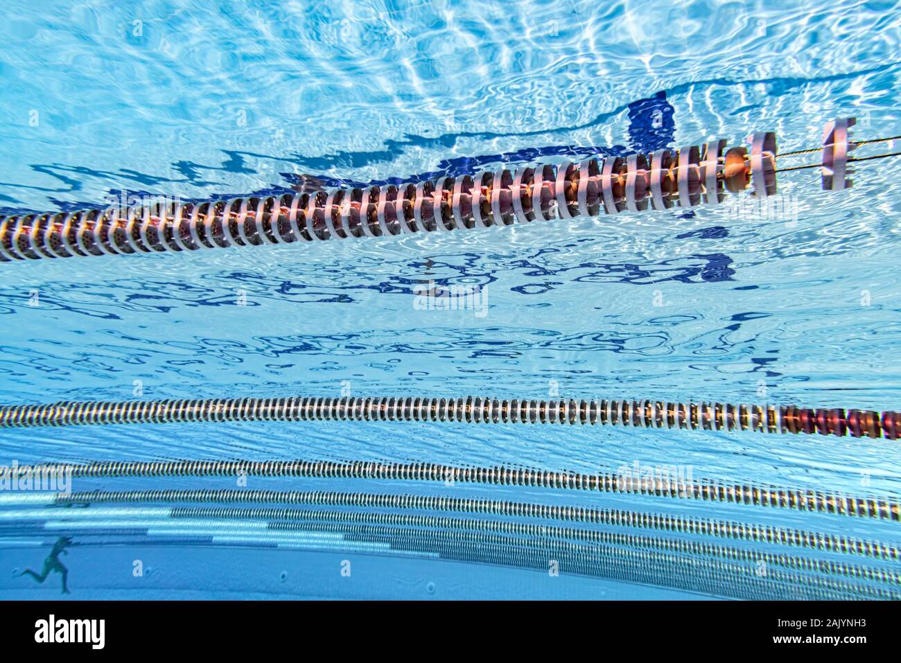 Olympic Swimming pool underwater background Stock Photo - Alamy