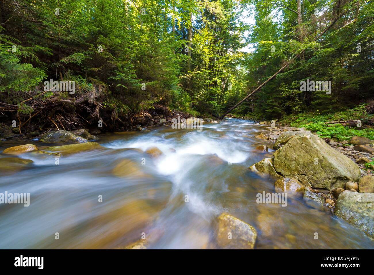 Fast flowing through wild green forest river with crystal clear smooth ...