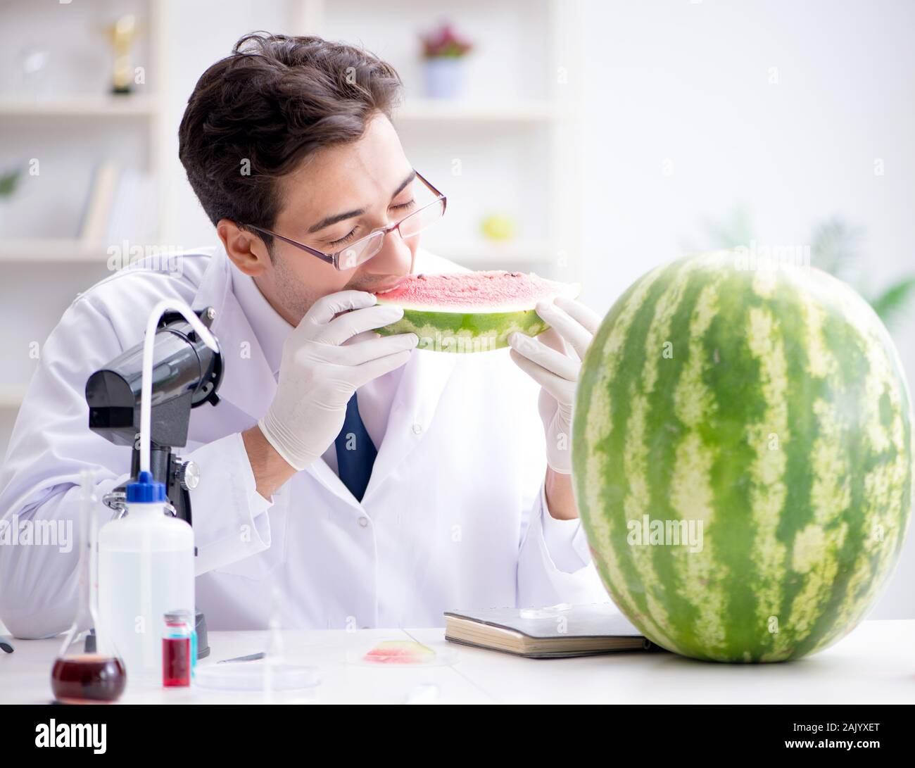 The scientist testing watermelon in lab Stock Photo - Alamy