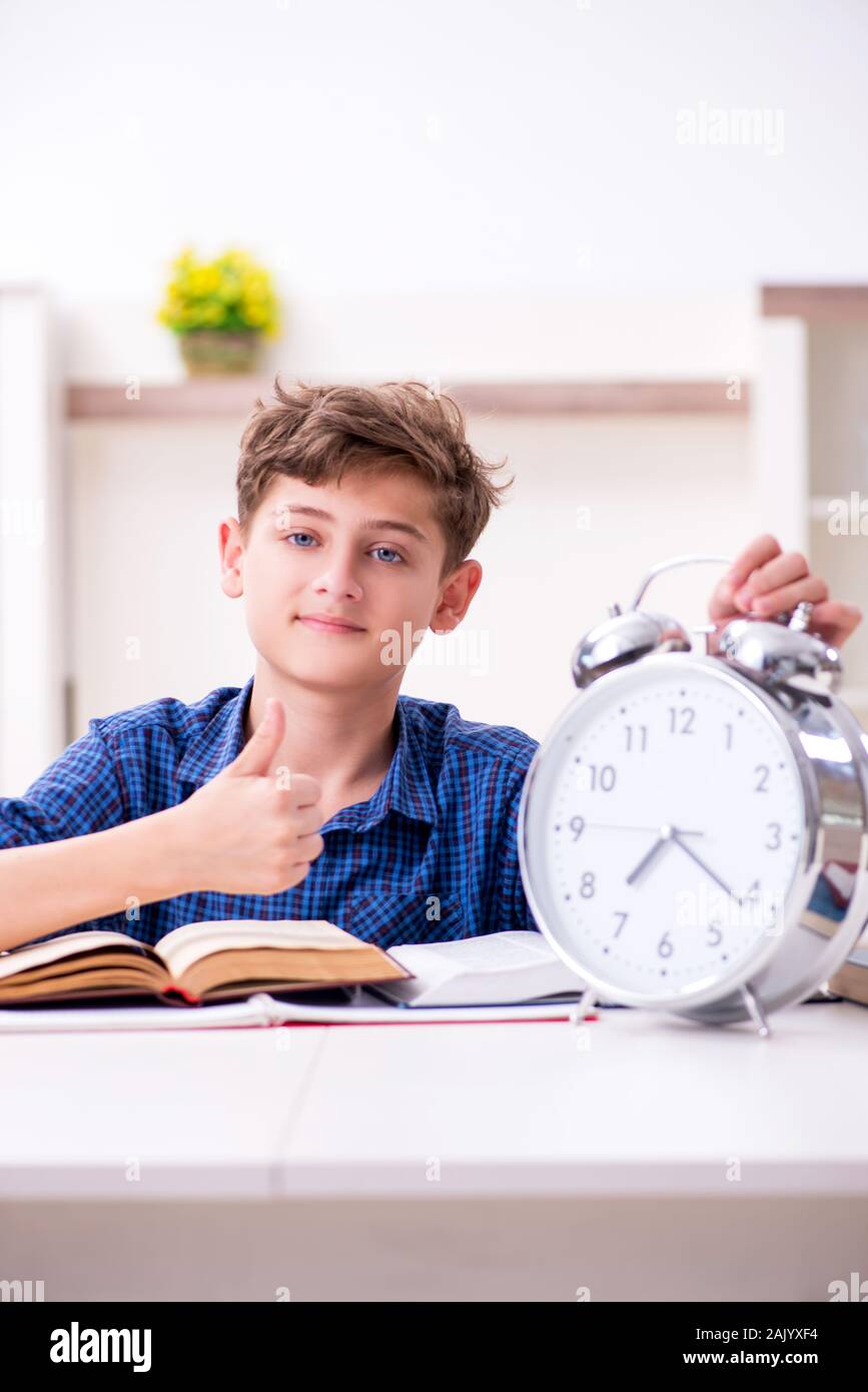 School child revising for exams hi-res stock photography and images - Alamy