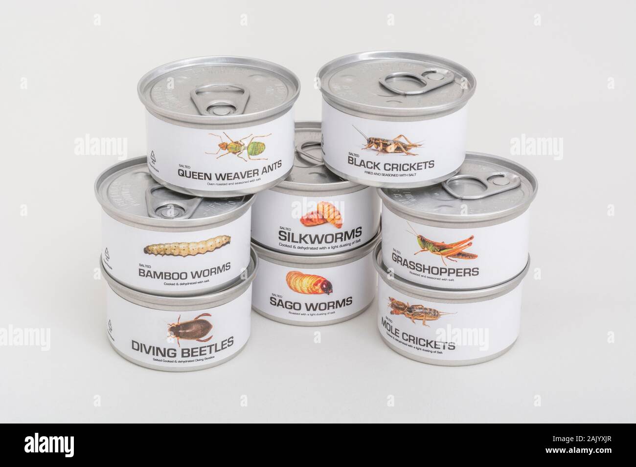 Tinned edible insects: Grasshoppers, Weaver Ants, Sago Worms, Mole ...
