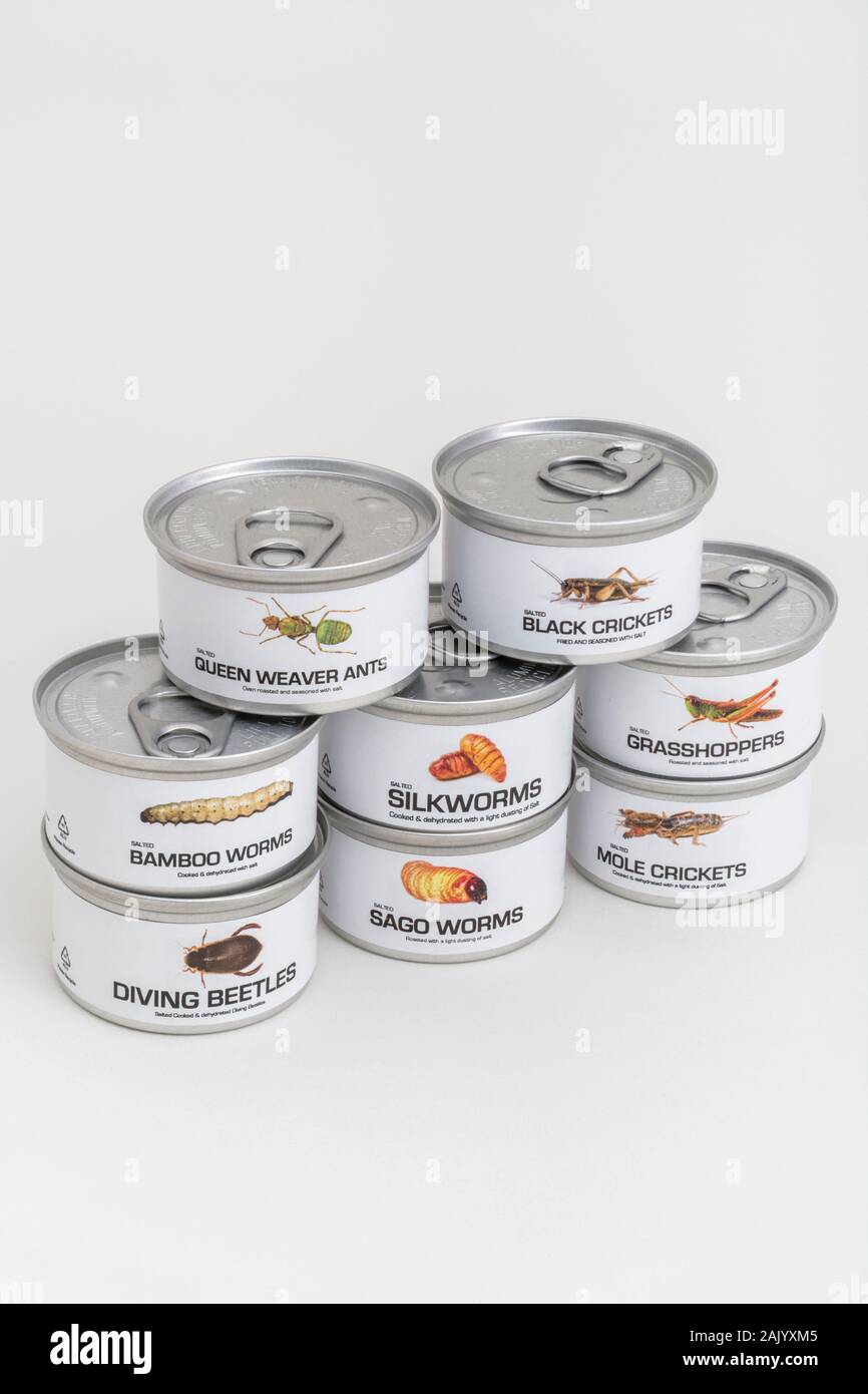 Tinned edible insects: Grasshoppers, Weaver Ants, Sago Worms, Mole ...