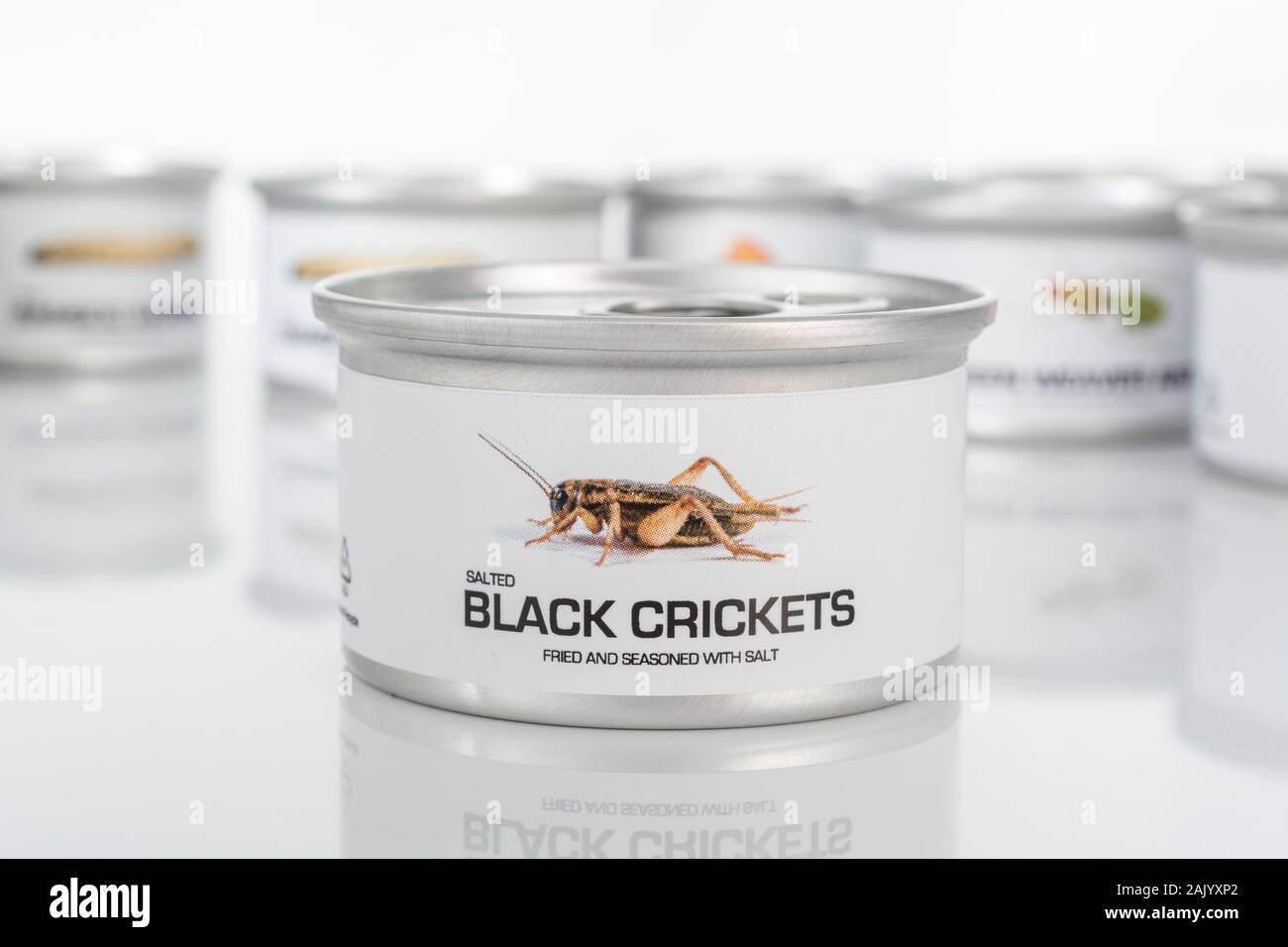 Tin of edible insects / novelty food - Black Crickets / Gryllus ...