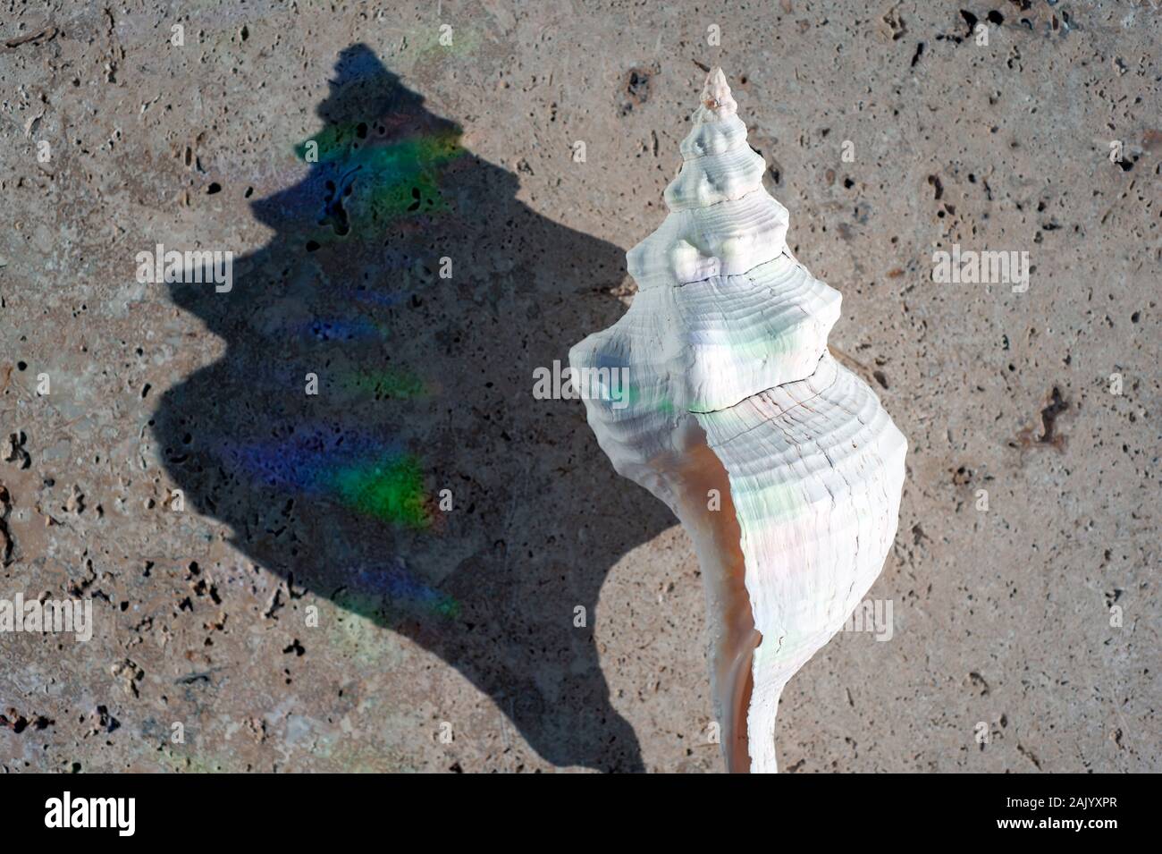 Natural object still life photography Stock Photo - Alamy