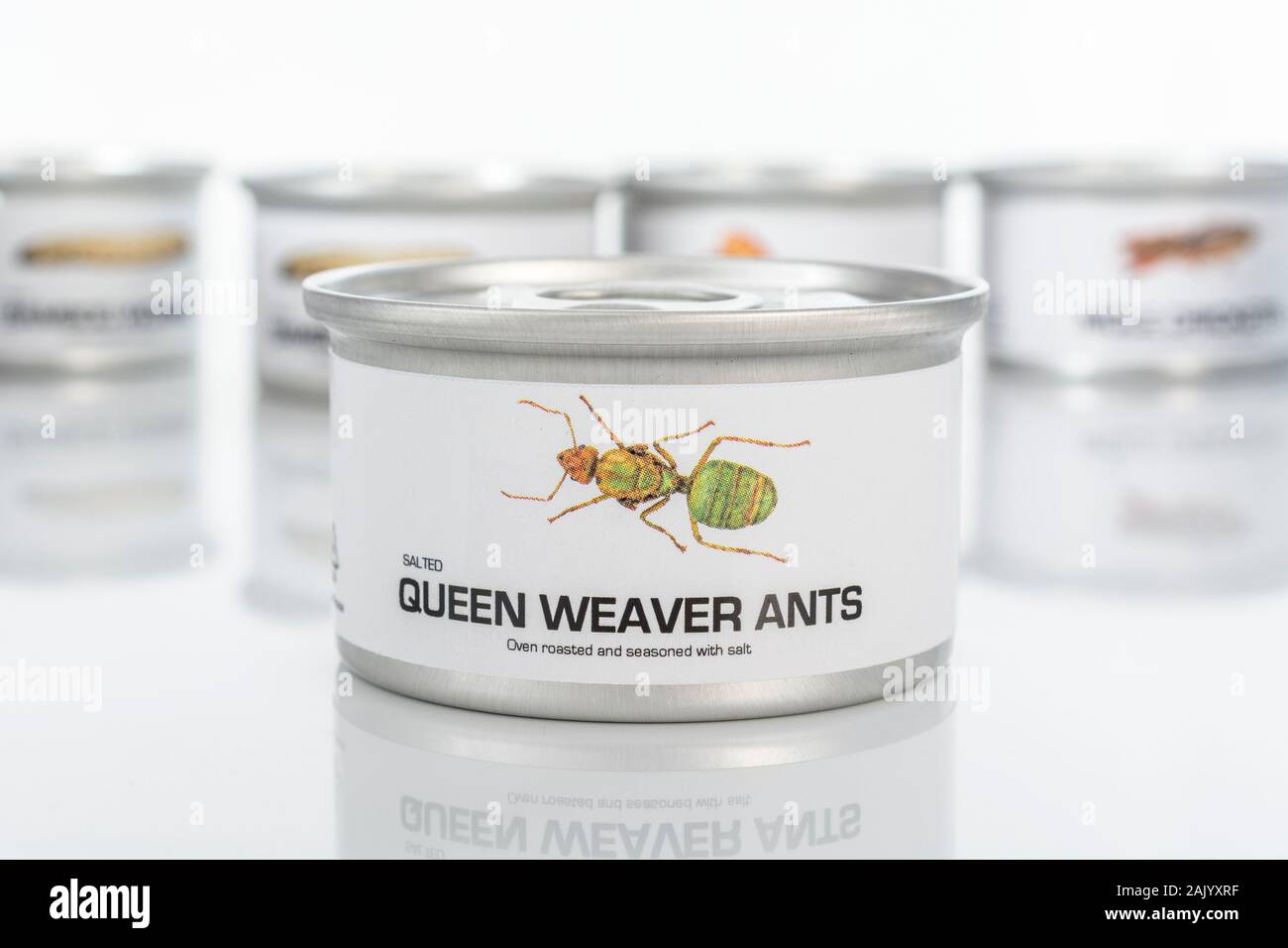 Tin of edible insects / novelty food - Weaver Ants / Oecophylla ...