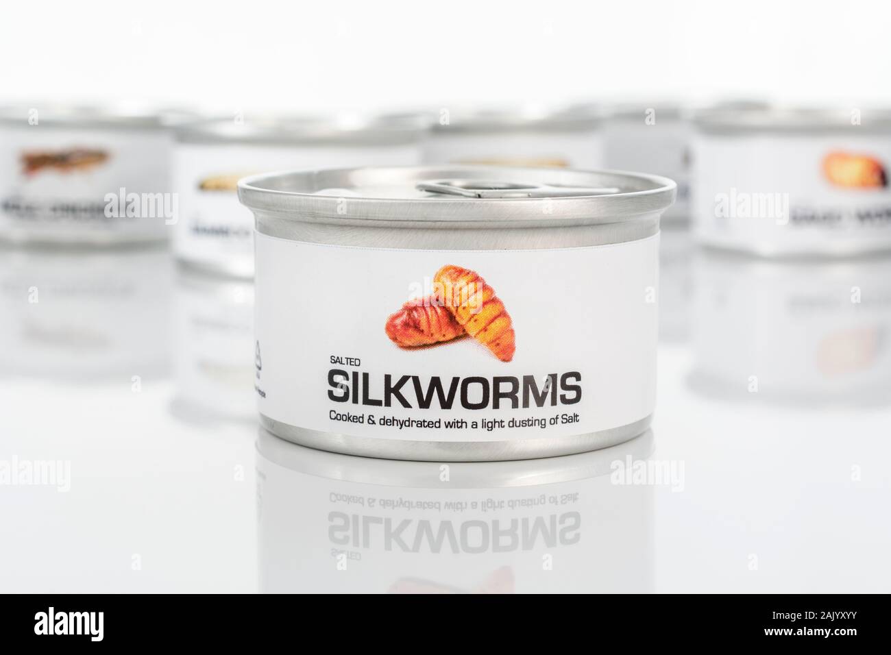 Types of edible worms hi-res stock photography and images - Alamy
