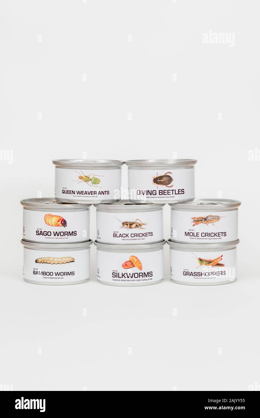 Tinned edible insects: Grasshoppers, Weaver Ants, Sago Worms, Mole ...