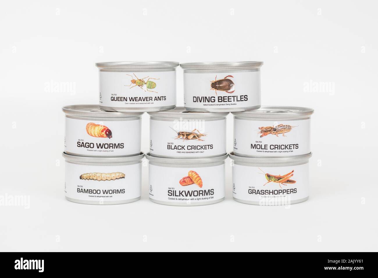 Tinned edible insects: Grasshoppers, Weaver Ants, Sago Worms, Mole ...