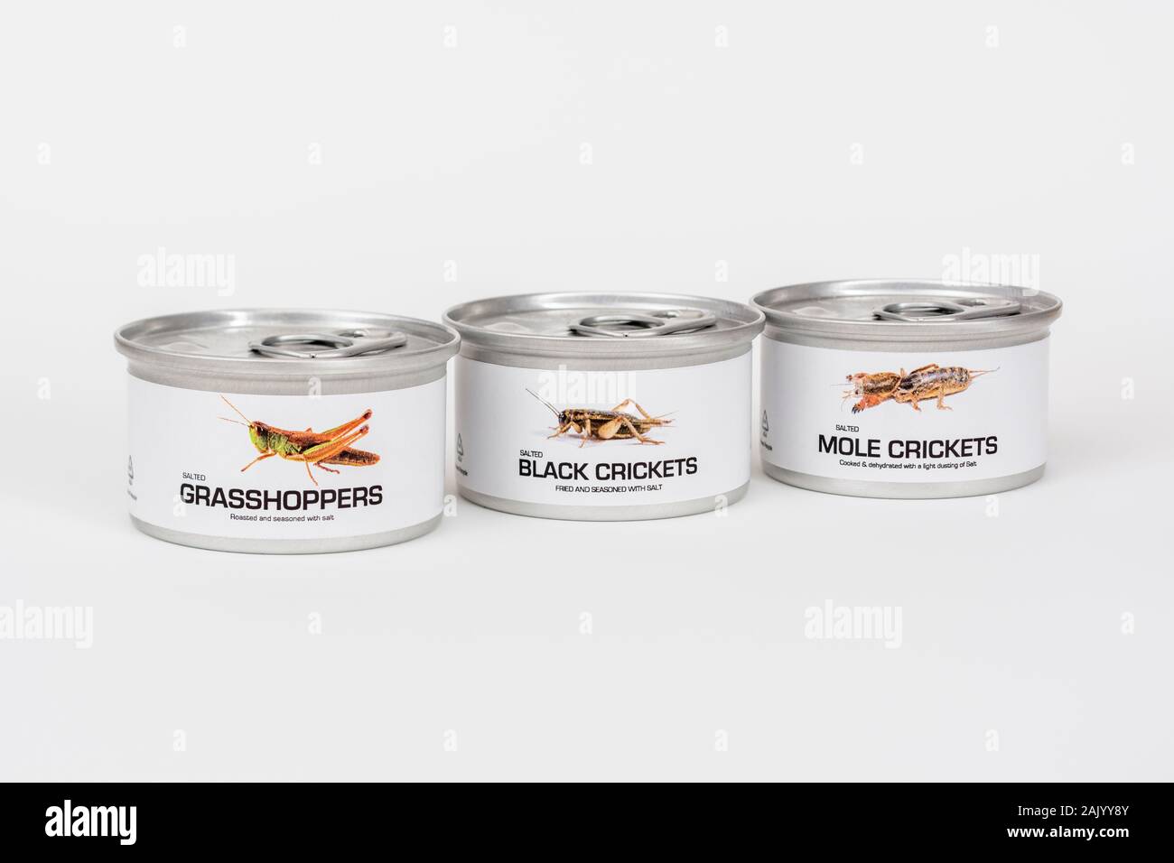 Tinned insects hi-res stock photography and images - Alamy