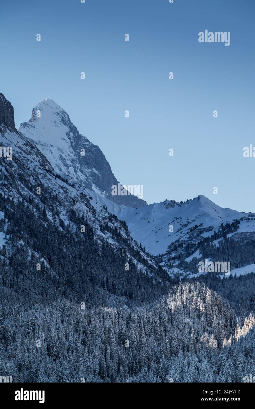 swiss alps during winter with mountains and trees covered with snow ...