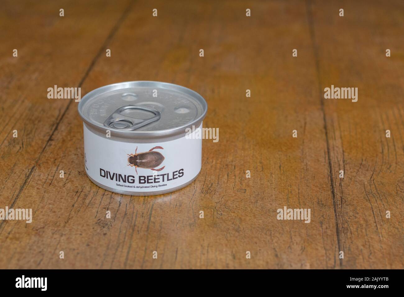 Tin of edible insects / novelty food - Diving Beetles / Dytiscus ...