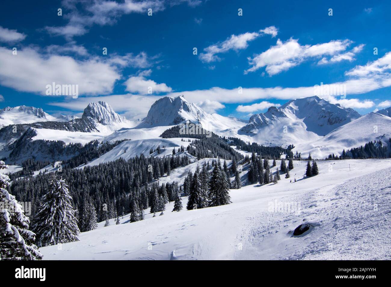 swiss alps during winter with mountains and trees covered with snow ...