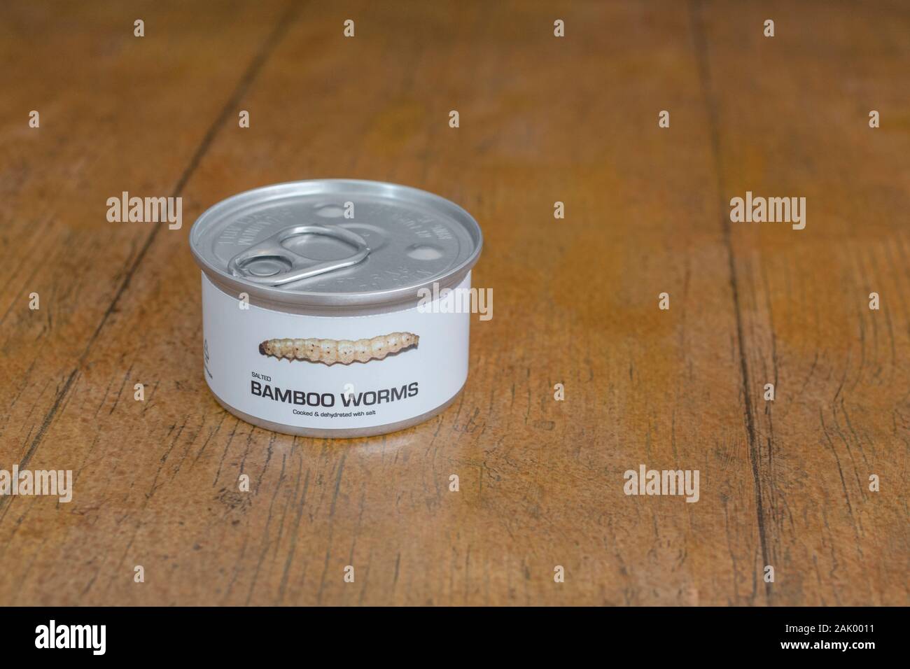 Tin of edible insects / novelty food - Bamboo worms / Omphisa ...