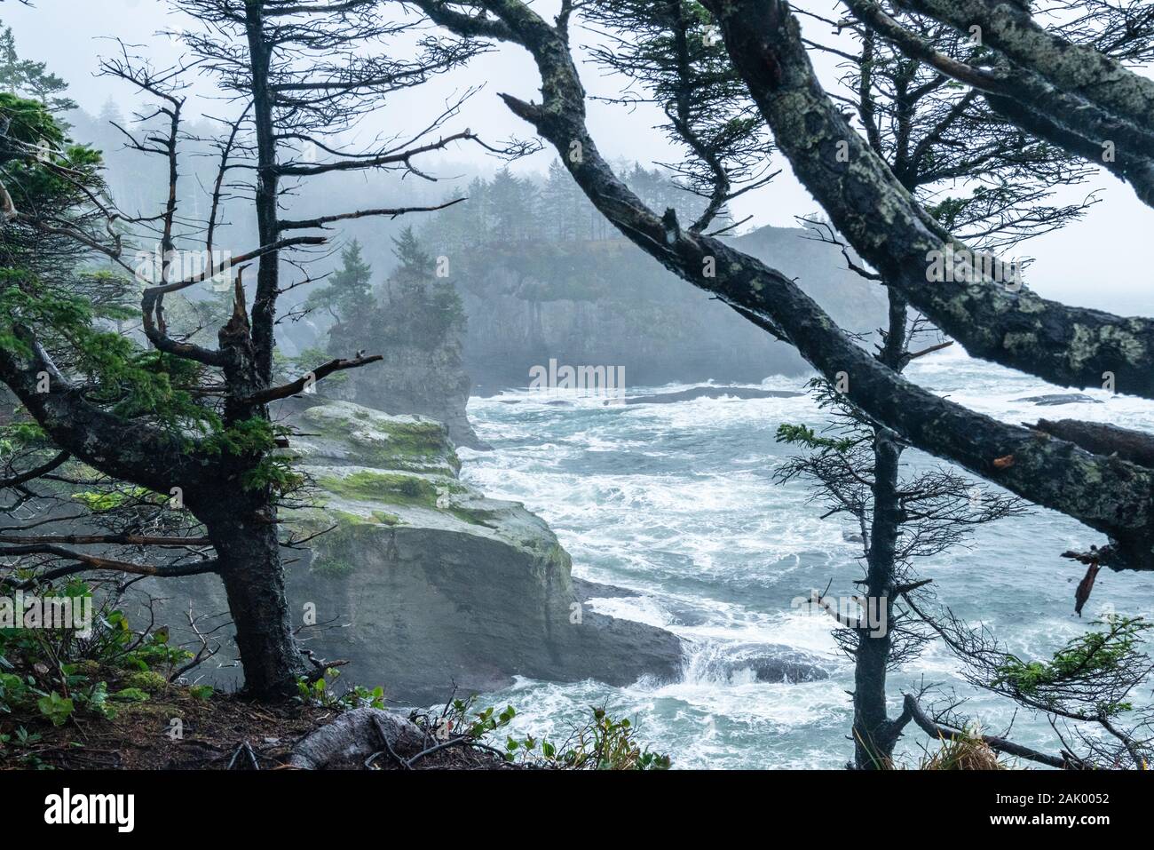 Cape flattery trail hi-res stock photography and images - Alamy