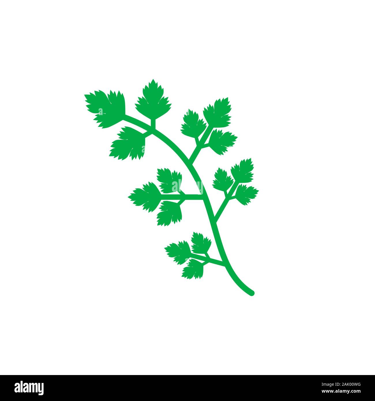 Parsley green plant icon. Parsley stem isolated on white background ...