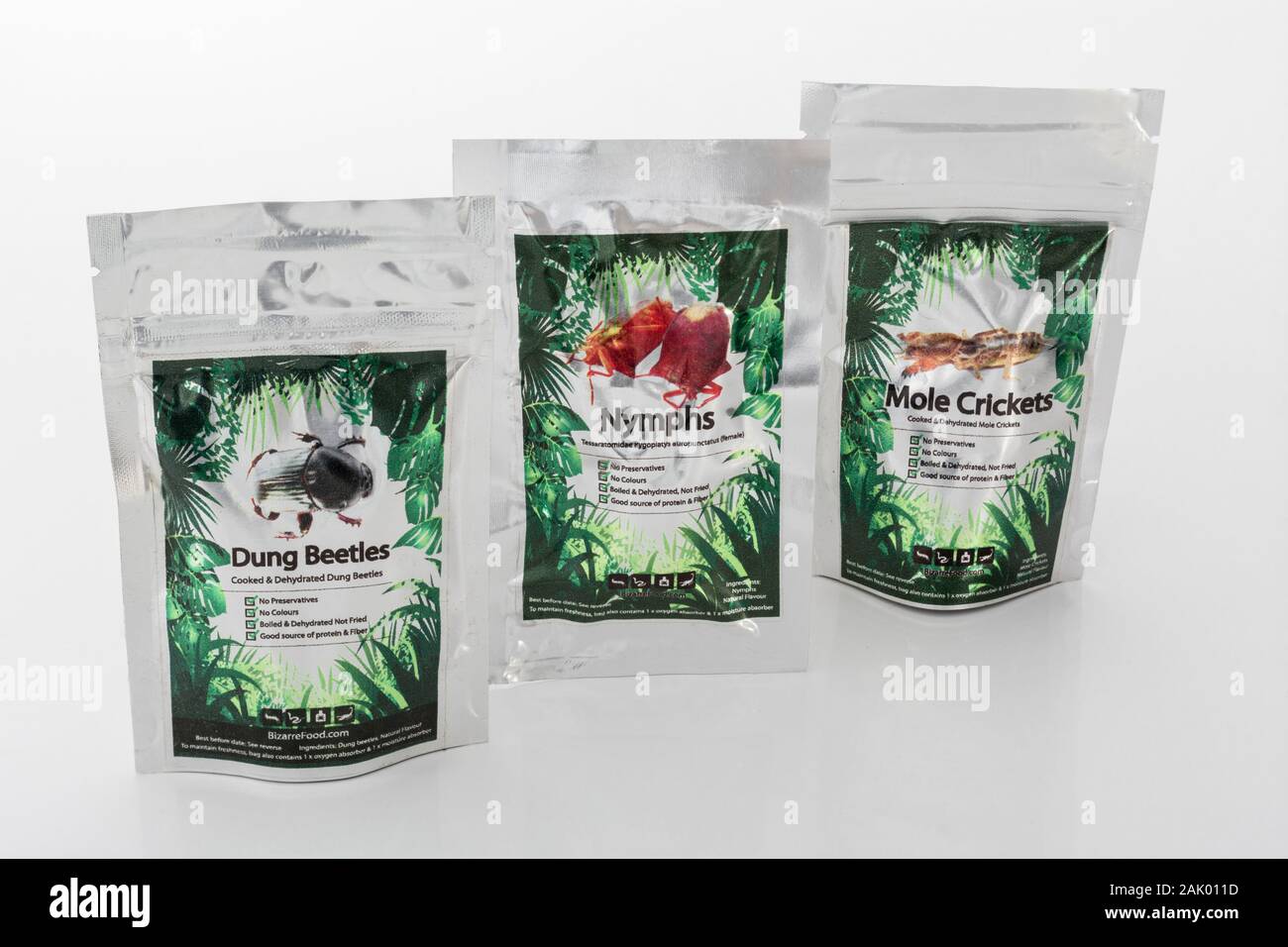 Edible insects: Dung Beetles / Onitis species, Nymphs / Pygoplatys ...