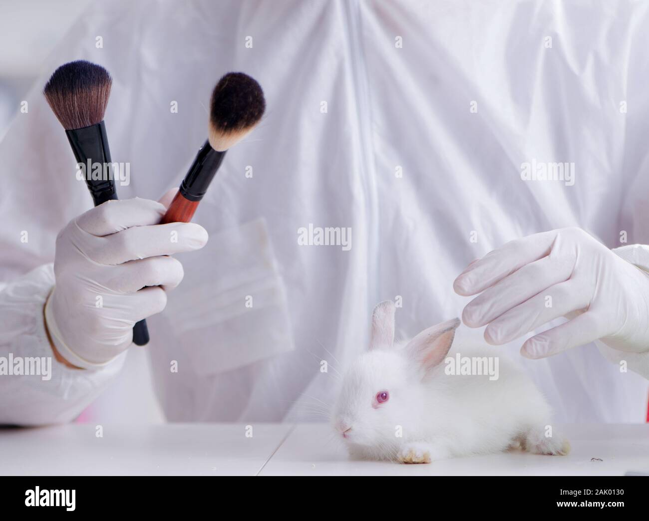 White rabbit in scientific lab experiment hi-res stock photography and ...