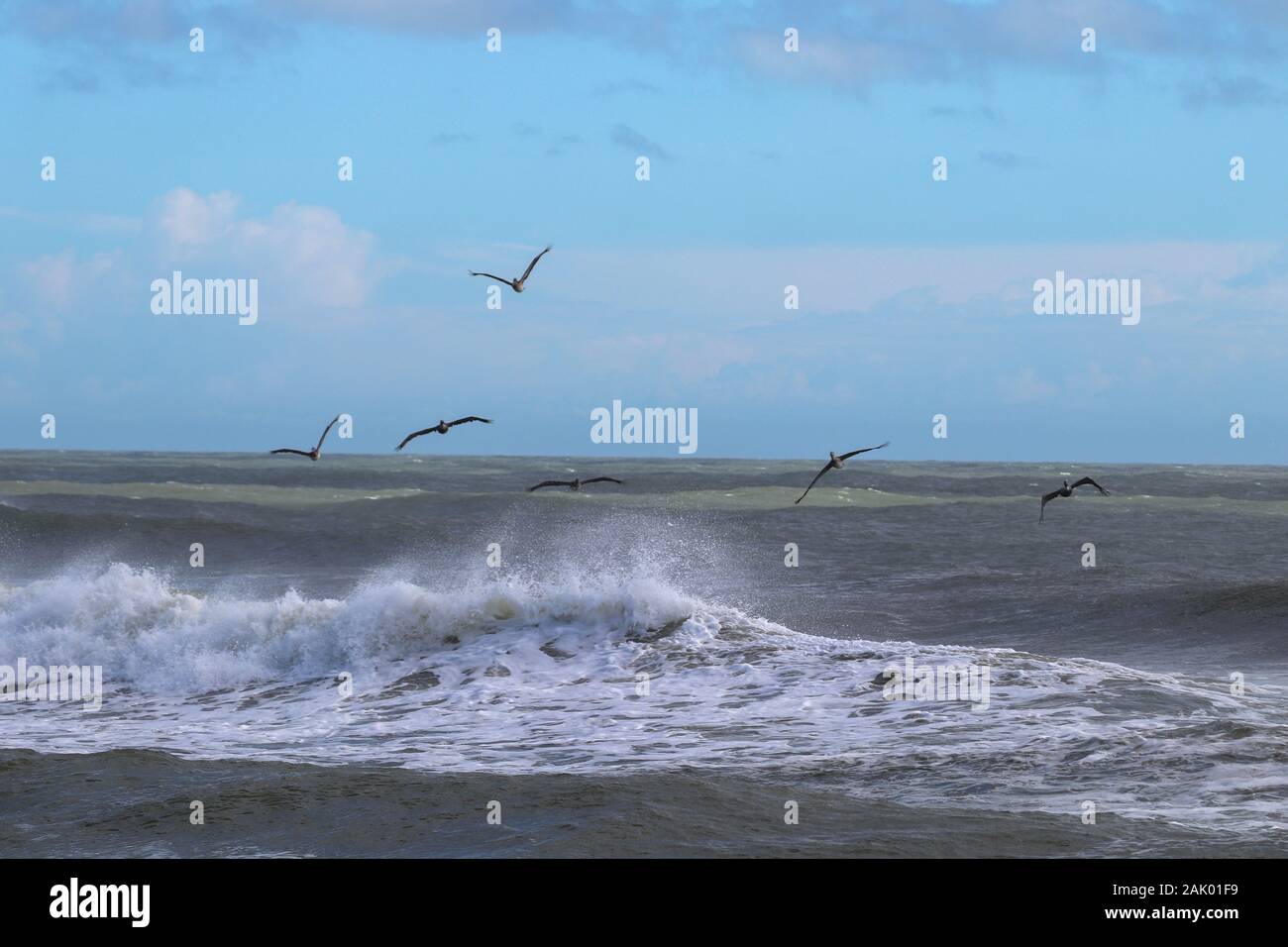 Birds Flying Above Atlantic Ocean Waves Stock Photo - Alamy