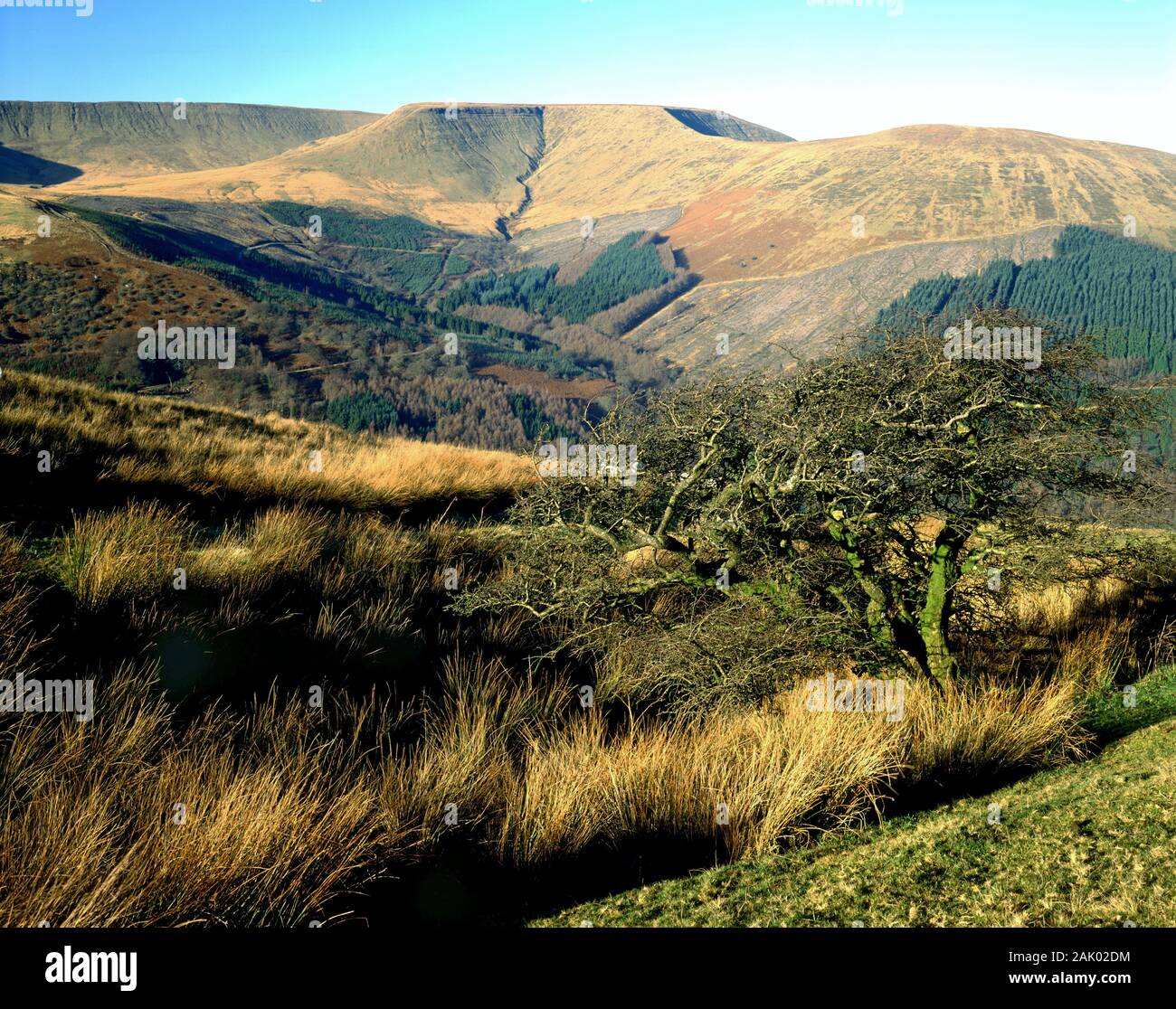 Waun Rydd from Bryniau Gleision, Brecon Beacons National Park, Powys ...