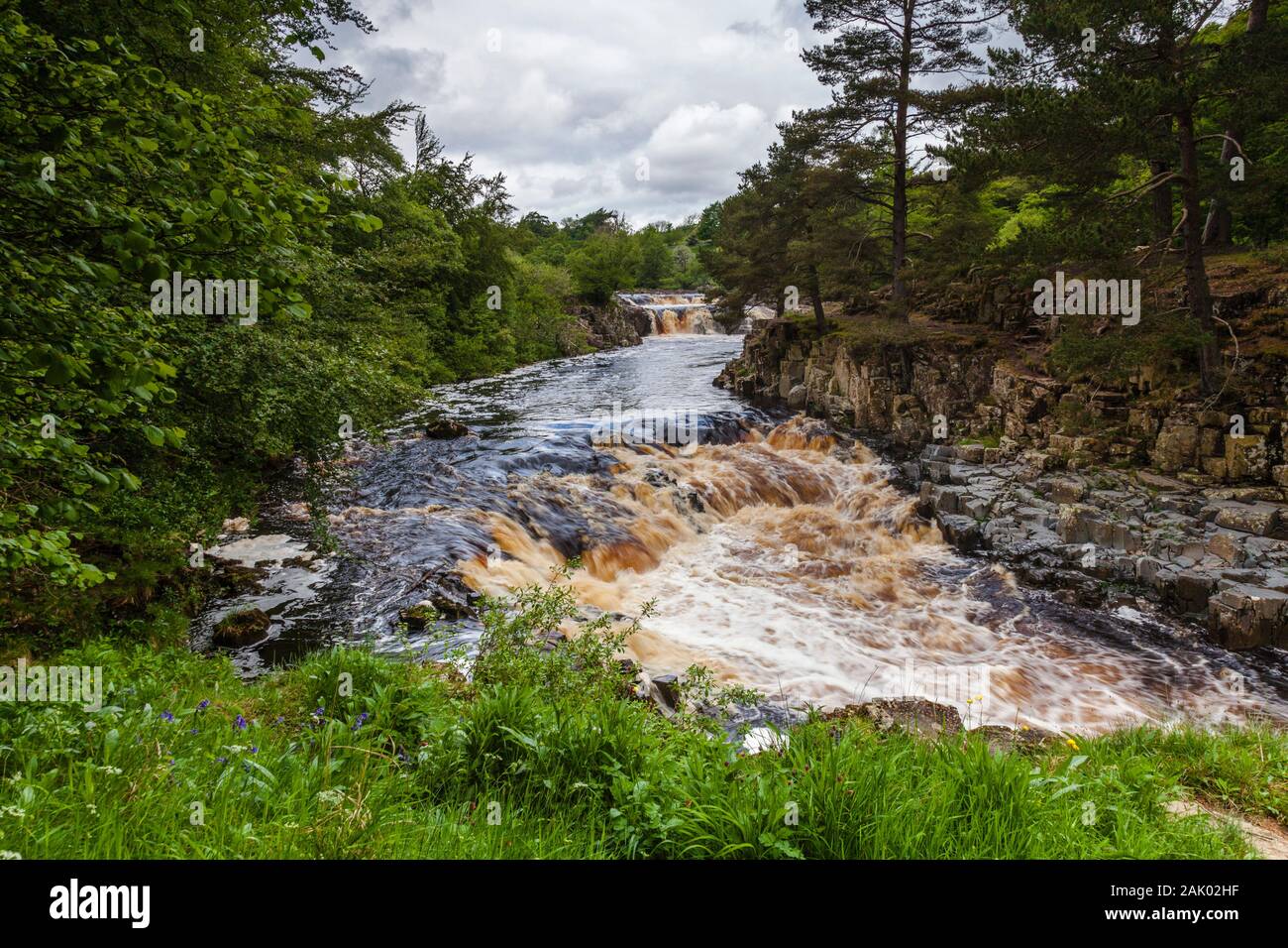 The waterfalls at Low Force,Teesdale,England,UK Stock Photo - Alamy